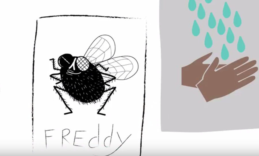 Freddy the Fly: A lesson in effective development communications ...